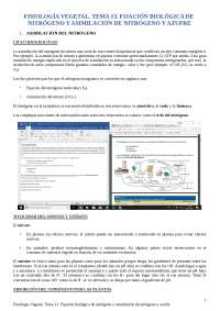 Fisiología Vegetal. tema 13 - Docsity