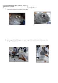 Conejos y gotas para la miosis y midriasis - Docsity