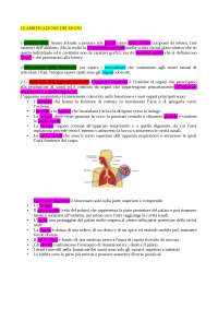 La classificazione dei suoni - Docsity