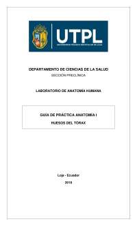PRACTICA ANATOMIA MORFO II - Docsity