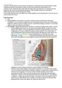 Appunti sulla faringe - Docsity