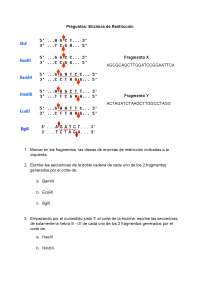 Ejercicios microbiologia 2 cuatri - Docsity