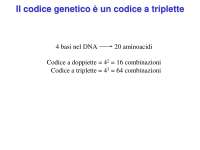 Il codice genetico e la trascrizione - Docsity