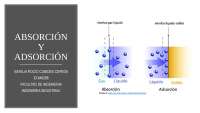 Absorcion Y adsorcion - Docsity