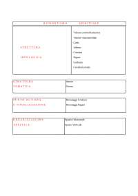Schema bifrontismo tasso - Docsity