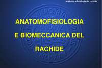 ANATOMIA E FISIOLOGIA DEL RACHIDE - Docsity