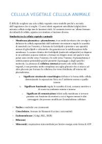 Differenze tra cellula anima e cellula vegetale - Docsity