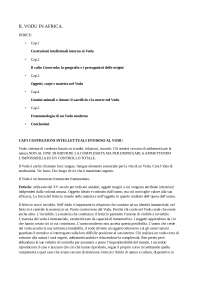 Il Vodu in Africa, Alessandra Brivio - Docsity