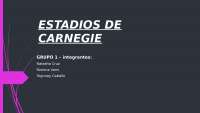Estadios de carnegie - Docsity
