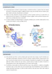 Sistema vestibular e sindrome vestibular | Resumos Fisiopatologia - Docsity