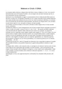Watson e crick e la scoperta del dna - Docsity