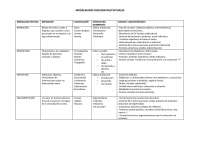 Modalidad Discursiva - Docsity