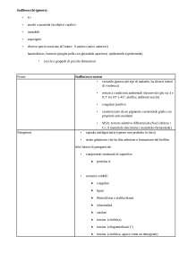 Schema in tabella delle caratteristiche dei vari Stafilococchi - Docsity