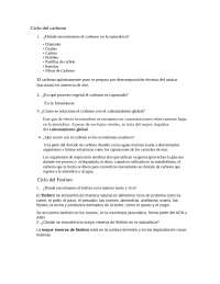 Ciclo del carbono, pdf, apuntes - Docsity