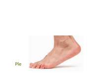 Pie- Extremidad inferior - Docsity