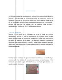 Lesiones elementales - Docsity