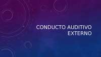 Conducto Auditivo Externo - Docsity