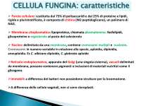 Cellula fungina: caratteristiche - Docsity