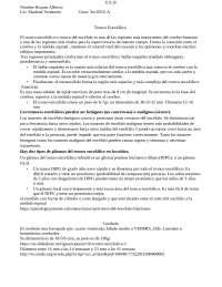 Tronco encefalico y cerebelo - Docsity