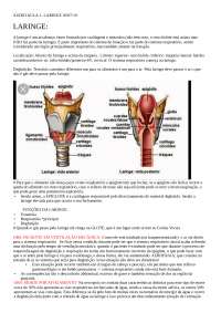 Resumo de laringe com os músculos e cartilagens - Docsity