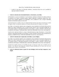 Práctica anatomía vegetal - Docsity