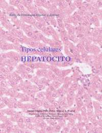 Tipos de célula hepatocitos - Docsity