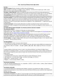 Grand Corps Malade, Romèo kiffe Juliette - Docsity