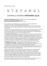 Tesina sulla relazione di governance di stefanel - Docsity
