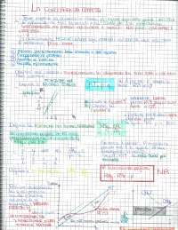 La concorrenza perfetta in economia politica - Docsity