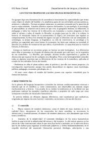 Ficha práctica textos humanisticos | Ejercicios de Lengua y Literatura ...