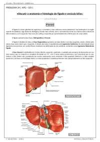 Sistema Digestório, assim como a anatomia e histologia específica do ...