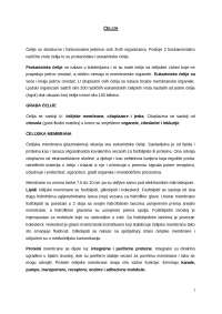 Beleške za studente i srednjoškolce | Docsity