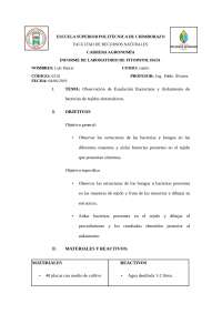 Cultivo de tejidos sintomáticos - fitopatología - Docsity