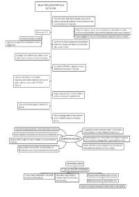 Programma Storia 5 superiore: Dalla fase legalitaria alla dittatura - Docsity