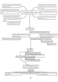 Programma Storia 5 superiore: Anni ruggenti - Docsity