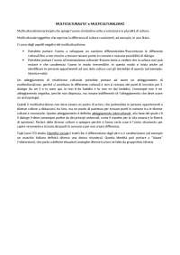 Multiculturalità e multiculturalismo - Docsity