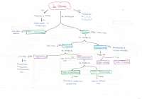 ESQUEMA CLASIFICACIÓN GLÚCIDOS - Docsity