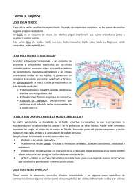 TEMA 3. TEJIDOS - Docsity
