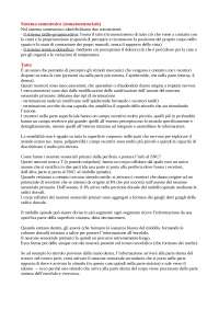 Sistema somatosensoriale - Docsity