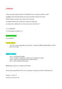 Riassunto stringhe programmazione c - Docsity