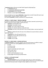 Piani e assi anatomici - Docsity