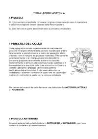 Anatomia muscoli rachide torace addome - Docsity