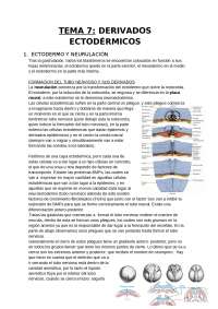 Primera parte biodes tema 7 ectodermo y sus derivados - Docsity