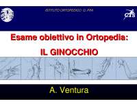 Esame obiettivo ginocchio - Docsity