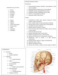 Guía de anatomía para el tercer parcial (digestivo) | Guías, Proyectos, Investigaciones de ...