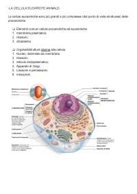 La cellula eucariote - Docsity