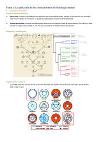 TEMARIO COMPLETO TIFAA - Docsity