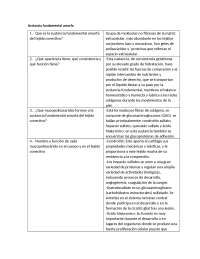 Sustancia amorfa fundamental - Docsity
