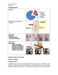 SIGNOS CLASICOS DE LUMBALGIA - Docsity