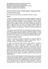 Resumo - Cap. 6 do livro Anatomia Vegetal (BEATRIZ APPEZZATO DA GLÓRIA ...